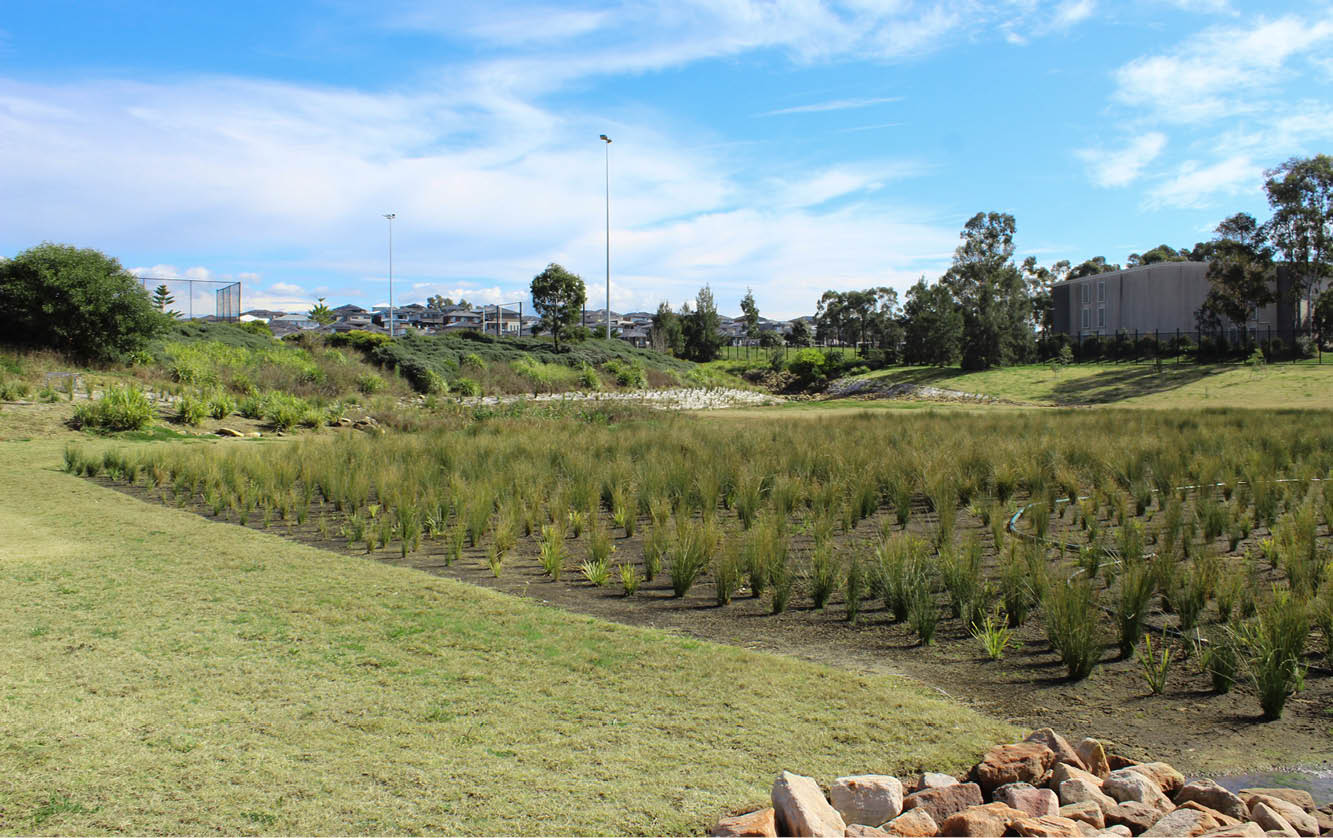 SmartMix® Biofiltration – Nature-Based Stormwater Solutions