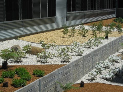 Cowra Quartz – Premium White & Gold Pebbles